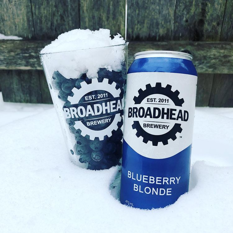 Blueberry Blonde - Broadhead Beer